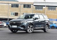 china New Version Personal Adult Geely Car SUV Gasoline Petrol Oil Fuel 2 WD Car