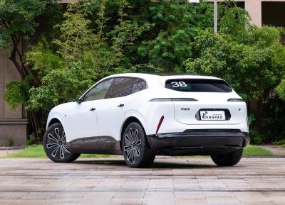 Cina Tecnologia intelligente Nuova energia batteria automatica EV ibrido benzina benzina auto a combustibile in vendita