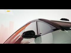 리시안 메가 전기 차량 5 좌석 MPV 오토 순수 신 에너지 EV 자동차