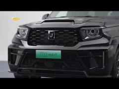 5 Seat 5 Door 3.0T Tank 700 SUV 800Nm 385KW 163Ps 4WD New Energy Electric Vehicle Hybrid EV Gasoline Petrol Fuel New Car