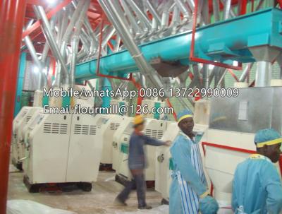 China maize meal machine,wheat flour mill,maize grits machine for sale