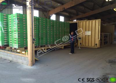Cina Attrezzatura di raffreddamento a vuoto di Beansprouts del crescione per le verdure tagliate in vendita