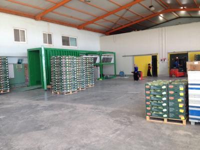 China 75kw plantaardige Vacuüm Koelere PLC van R404A  Latende verdampen Vochtigheid Te koop