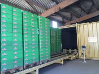 China PLC Controlled Vacuum Cooling Machine for Flowers Herbs Vegetables 300-6000kg Capacity R134A for sale