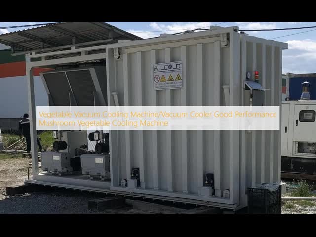 Máquina de Resfriamento a Vácuo para Vegetais/Resfriador a Vácuo Bom Desempenho Máquina de Resfriamento para Vegetais e Cogumelos