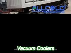 agricultural produce pre cooling system leafy vegetables vacuum cooling machine