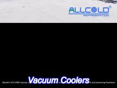 agricultural produce pre cooling system leafy vegetables vacuum cooling machine