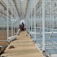 China Greenhouse 5