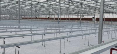 China G350Mpa 6-Zoll-Rohrmaschine für Regenextrusions-Stahlfliesen zu verkaufen