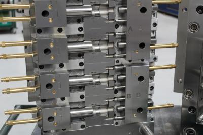 Cina Stampaggio ad iniezione di plastica inserito cavità di norma 4 di HASCO in vendita