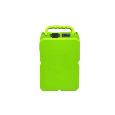 China High-Capacity 24V 48V Universal Lithium Battery - Solution for Commercial Garden Tools Like Trimmer, Mower & Pump (OEM Support) for sale