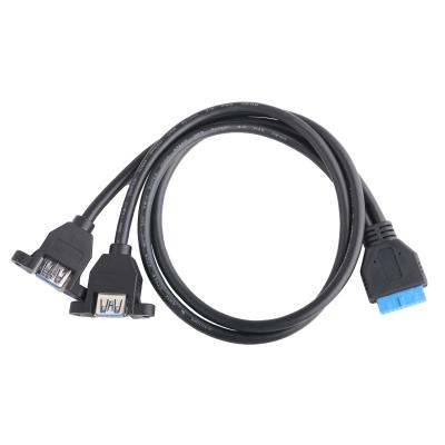 Cina 19/20 Pin Cable di estensione del pannello anteriore OEM / ODM in vendita