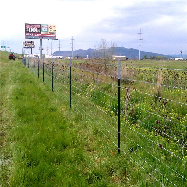 Hot Galvanized Cheap Hog Wire Farm Fence Prairie Field Fence Netting Cattle Fence on Farm for Sale