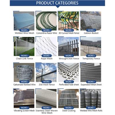 China Strong Deterrent To Intruders Practical Metal Stainless Steel Wall Anti Climb Design Modern Spike Fences for sale