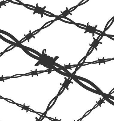 China Factory Direct Selling Bto-22 Galvanized Razor Wire Ring Barbed Wire Mesh for sale