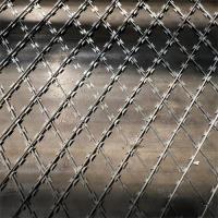 China Loops Hot-DIP Galvanized Razor Barbed Wire Mesh for sale
