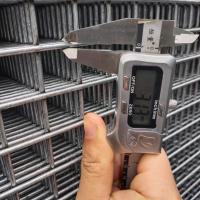China Rectangular hot dipped galvanized Welded Wire Mesh Panels For Welded Animal Cage for sale