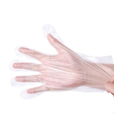 Cina Guanti monouso in plastica trasparente PE per pulizia invernale in vendita