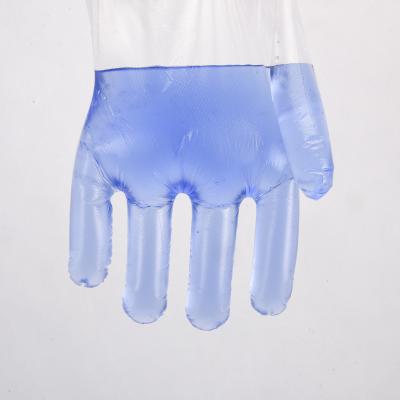 Cina Spessore HDPE trasparente Polietilene di plastica usa e getta Guanti per il servizio alimentare Cucina Impermeabili domestici in vendita