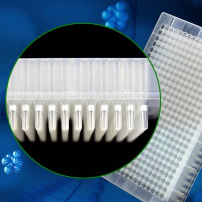 China 384-Well Plates for Gene Synthesis for sale