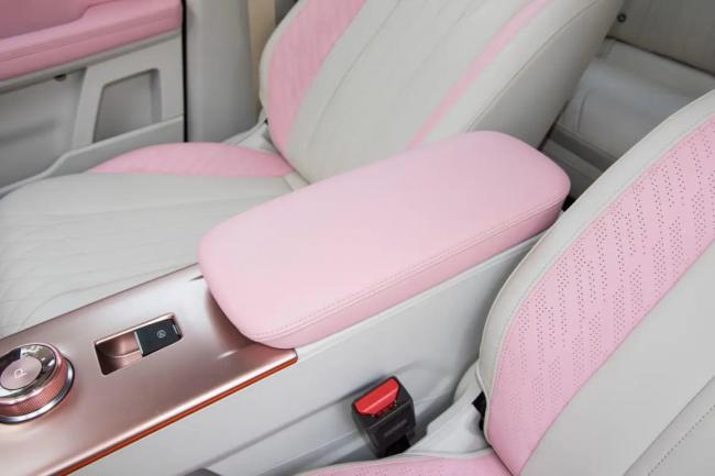 New Car Price Electric Car Electric Vehicle EV SUV Geely Geometry E (2023) 401km Pink Special 5-Seater