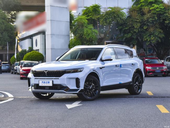SUV New Car Electric Car Electric Vehicle EV Voyah Free 2024 Ultra Long-Range
