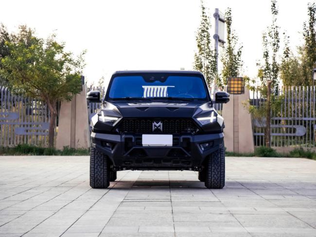 China Car Manufactured New: Energy Car Brave Warrior Black Color Export