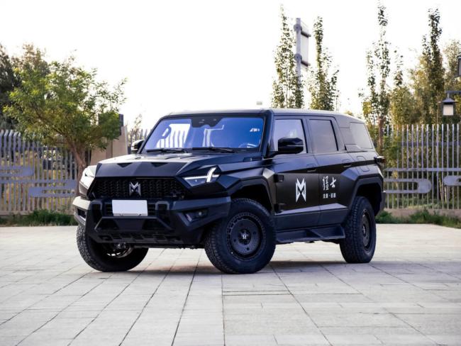 China Car Manufactured New: Energy Car Brave Warrior Black Color Export