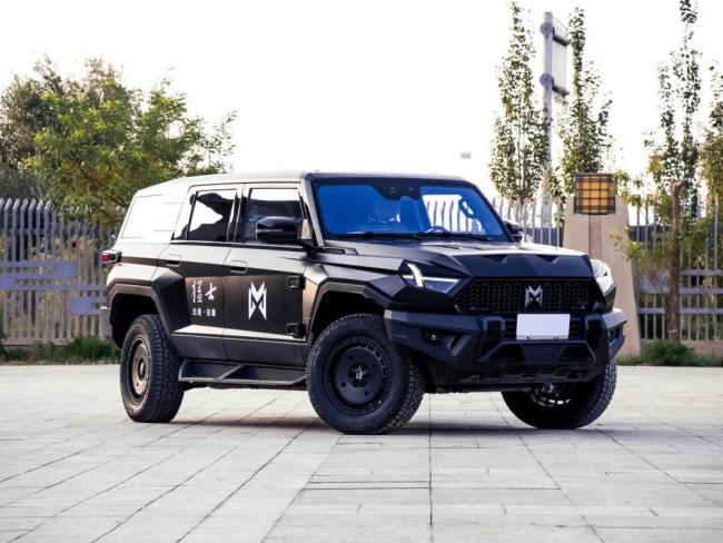 China Car Manufactured New: Energy Car Brave Warrior Black Color Export