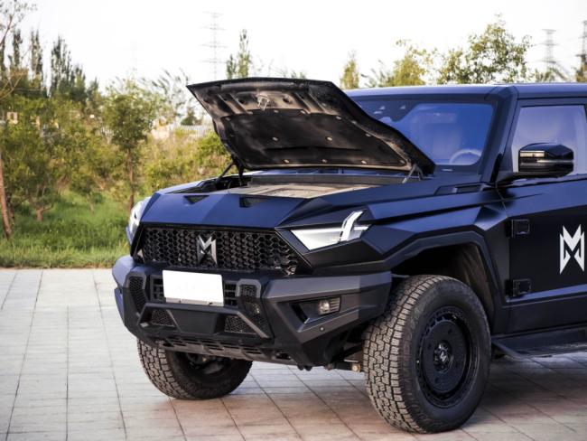 China Car Manufactured New: Energy Car Brave Warrior Black Color Export