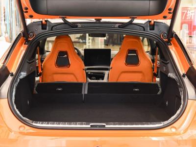 Cina Coupé elettrico 2024 Zeekr 001 You 100kwh EV Awd Z-Sport con tipo di energia in vendita