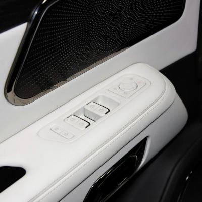 Cina 2024 AWD 6 posti/7 posti Hybrid Car Displacement 1000-1600CC Auto elettrica EV Ji Shi/Rox in vendita