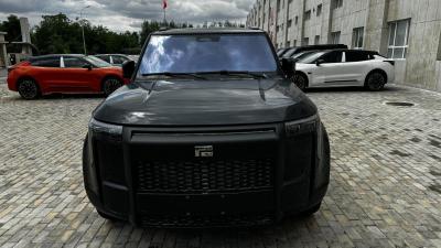 Cina Polar Stone 01 2023modello 6 posti Versione AWD con colore esterno nero in vendita