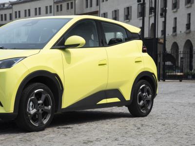 Cina Tipo di carburante elettrico Personalizzazione 2023 Byd Sea Gull 405 Km Veicolo ad energia moderna in vendita