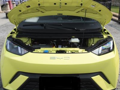 中国 電気燃料タイプ カスタマイズ 2023 バイド・シー・ガイル 405 Km モダン・オート・エネルギー・車両 販売のため
