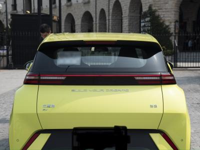 中国 電気燃料タイプ カスタマイズ 2023 バイド・シー・ガイル 405 Km モダン・オート・エネルギー・車両 販売のため