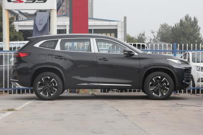 China Exeed 2023 300t 2WD with Mcpherson Independent Suspension and Closed Body Type for sale