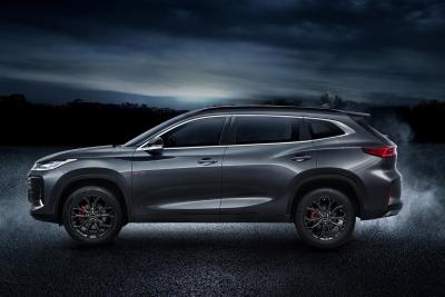 中国 マルチリンク独立懸垂 400t 2WD エクセッド PRO 2023 4500x1842x1746 車両用 販売のため