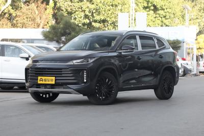 중국 300t 2WD Exeed 2023 닫힌 카리더 타입 3 좌석 판매용
