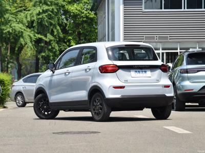 Cina Microcar Car Electric Vehicle EV Leap T03 2023 310 Qingxiang con richiesta personalizzata in vendita