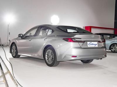 Cina Versione 2024 2.0g berlina auto benzina tipo carburante stile carrozzeria berlina in vendita