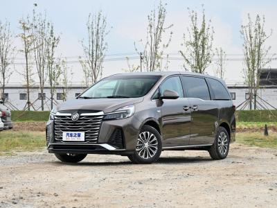China MPV Car Gasoline Car Buick Gl8 2023 Business Class on Land Dignity Version with 7 Seats for sale