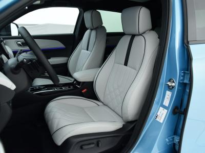 Cina Introduzione della Honda E Ns1 2023 Ejing Edition SUV Multi-Link Independent Suspension in vendita