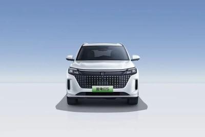 Landian E5 2024 Honor Edition 100km Automatic Luxury 5-Seater with Online Service