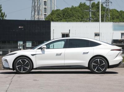 Cina Veicolo elettrico da 5 posti a lungo raggio Auto Rising Auto F7 2023 con batteria al litio ternario in vendita