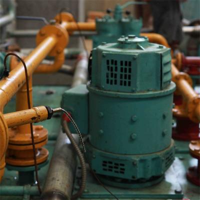 Cina Idro turbina Pelton 60HZ di Mini Water Head 250m fuori dalla turbina della ruota della griglia 500RPM Pelton in vendita
