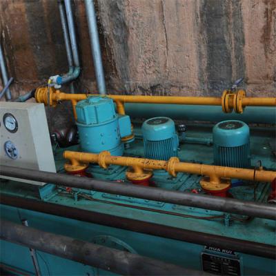 Cina Turbina capa 50HZ di verticale 100m Pelton idro sulla griglia 5000RPM in vendita