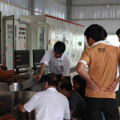 China Automatic / Manual Operation Pelton Hydro Turbine Flow Rate 1-200 M3/S à venda