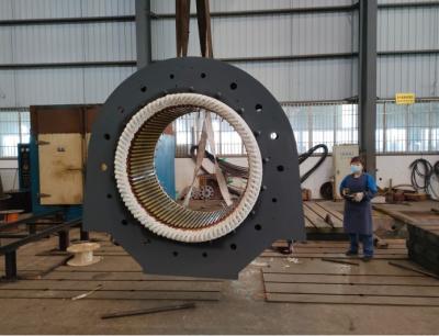 Cina il generatore di energia idroelettrica della turbina 3000kw ha forgiato 6300V d'acciaio in vendita