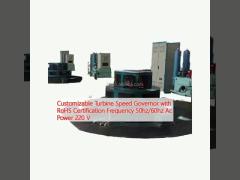 Regulador de velocidade de turbina personalizável com certificação RoHS Frequência 50hz/60hz Potência AC 220 V